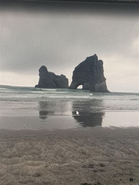 Fun Fact The Windows Logged Out Picture Is From New Zeaand R Newzealand