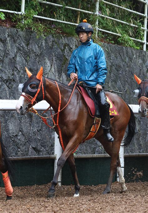 【ヴィクトリアm】ナミュール好調アピール 初コンビ武豊騎手の手綱さばきにも注目 競馬写真ニュース 日刊スポーツ