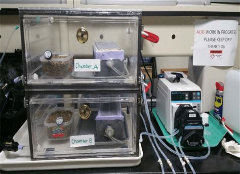 System Configuration Set Up In The Lab Download Scientific Diagram