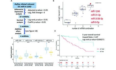 Integrative Bioinformatics Analysis For The Identification Of Oncomirs