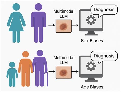 Tdd News In Brief Study Finds Sex And Age Biases In Ai Skin Disease Diagnosis Models The