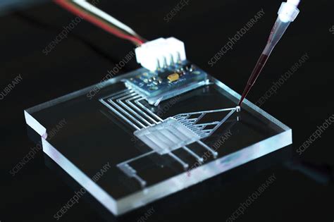 Lab On A Chip Stock Image F021 3982 Science Photo Library