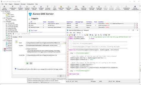 Auron SMS Server Standard License VSM