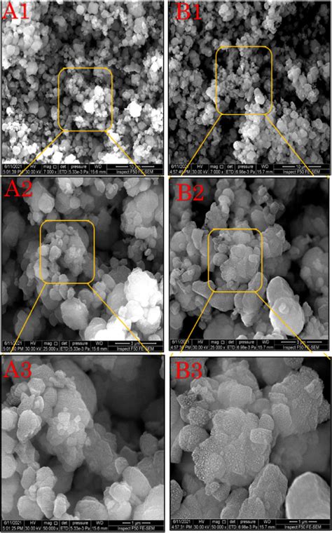Fe Sem Of Zsm 5 And Znzsm 5 Catalyst Download Scientific Diagram