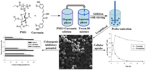Rationally Designed Curcumin Laden Glycopolymeric Nanoparticles