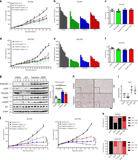 Cisplatin JQ1 And Topotecan Reduce Tumor Growth In PDX Models