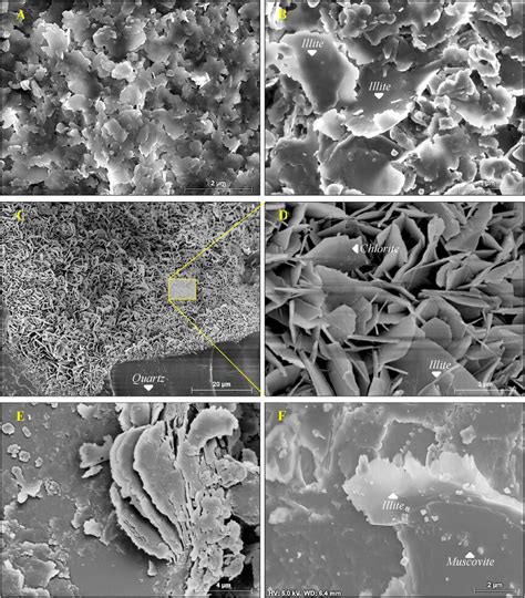 Sem Microphotographs Of Representative Samples From The Oued Imihrou