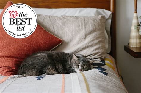 The Best Light Therapy Lamps Apartment Therapy