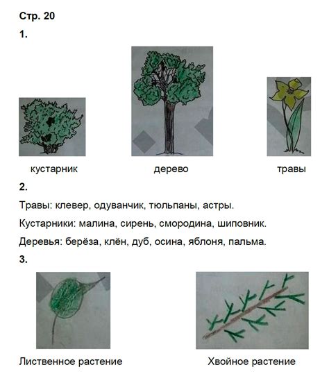Рабочая тетрадь по окружающему миру 2 класс 1 часть школа россии: ГДЗ ...