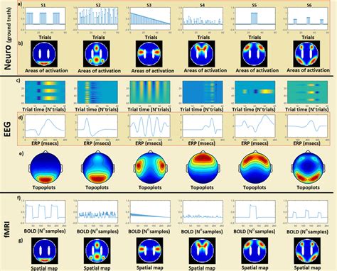 Simulated Sources In Eeg And Fmri Download Scientific Diagram