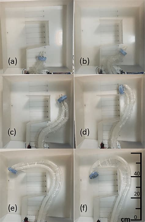 Robot Navigating Through A Maze Like Environment Download Scientific