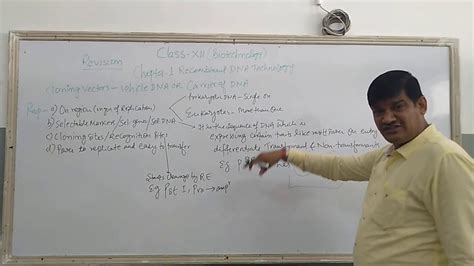 Recombinant Dna Technology Youtube