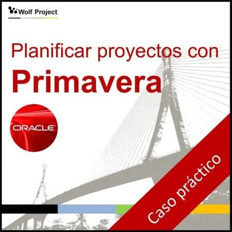 Primavera P3 Software For Sale Armlalaf
