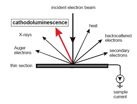 Signals Generated From Interaction Between The Primary Electron Beam