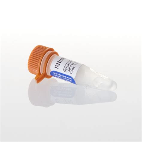 Ribonuclease H Enzymes