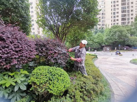 用好 三心”服务 为业主打造 爱”的家园 消费日报网