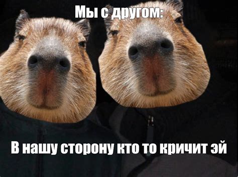 Мем Мы с другом В нашу сторону кто то кричит эй Все шаблоны