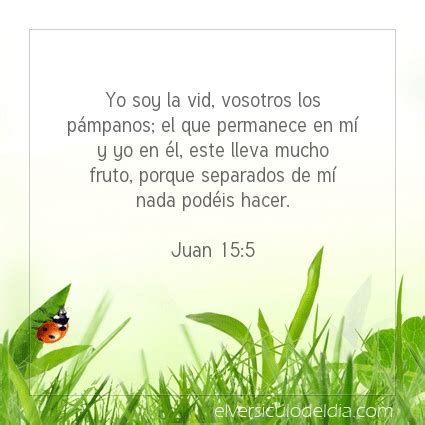 Imagen El Versiculo Del Dia Juan