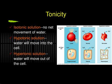 PPT Chapter 7 Membrane Structure And Function PowerPoint