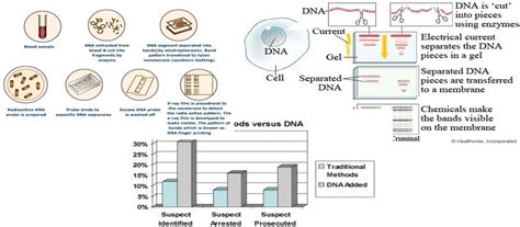 Figure 1 From Biometrics Based Key Generation Using Diffie Hellman Key
