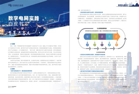 南方电网：数字电网实践白皮书pdf 先导研报