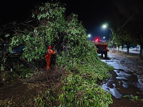 Forte chuva e ventos derrubam árvores e estruturas de casas e comércios