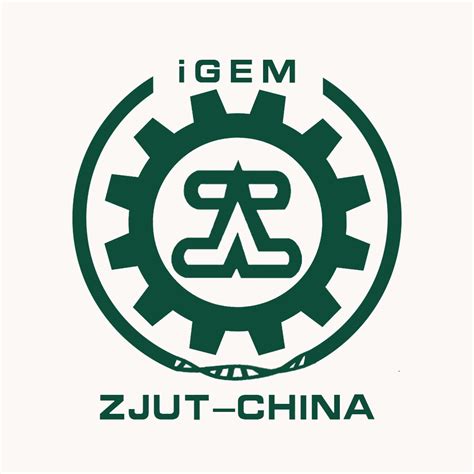 Teamzjut Chinaexperiments