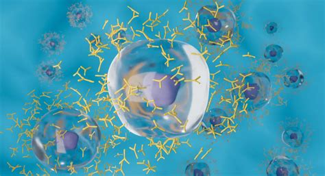 Drug Target Interference In Immunogenicity Assays Recommendations And