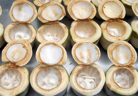 Young Coconut And Basil Seeds Asia Society