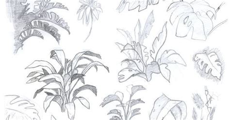 Realistic Drawings Tree Sketches Landscape Drawings