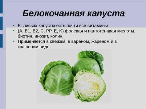 Какие витамины в составе капусты