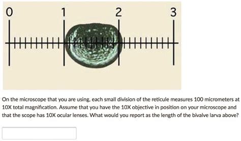On The Microscope That You Are Using Each Small Division Of The