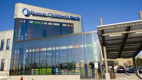 Bladder Grown From 3d Bioprinted Tissue Continues To Function After 14 Years 3d Printing Industry