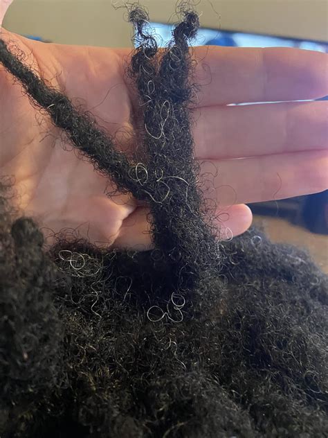 My Husbands Dreds Are Still Young And There Are A Couple That Seem To Be Splitting Should I