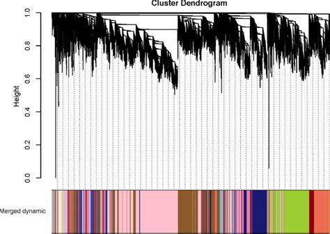Consensus Modules Detected Through Co Expression Network Analysis Download Scientific Diagram