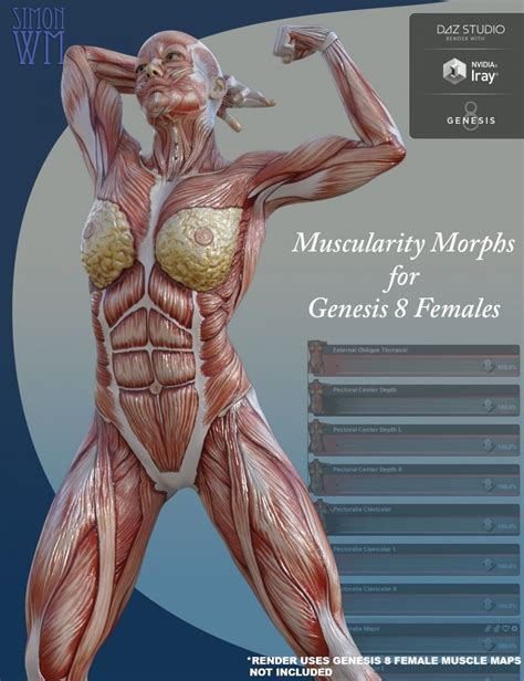 Muscularity Morphs For Genesis Female S Genesis Female Muscle Women