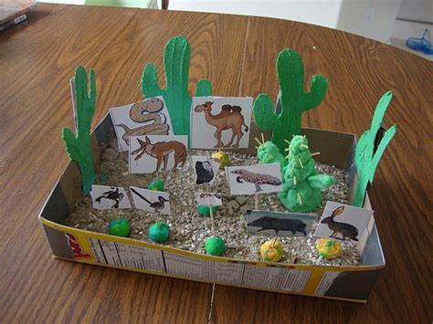 Desert Habitat Project Maquetas De Ecosistemas Ecosistemas