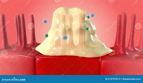 The Common Cold Immune Response Stock Illustration Illustration Of