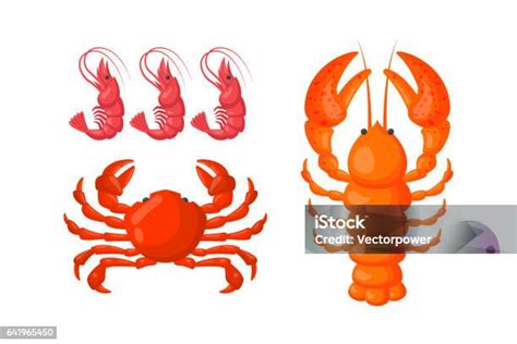 새우 새우와 게 벡터 평면 그림 꼬리에 대한 스톡 벡터 아트 및 기타 이미지 꼬리 바닷가재 갈고리 발톱 Istock