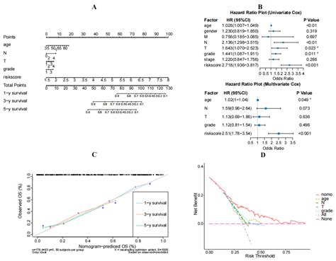 Single Cell RNA Sequencing Analysis Reveals Metabolic Changes In