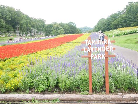 群馬県美容専門学校 第8回全国理容美容学生技術大会関東地区大会の美容アップスタイル部門で優秀賞を獲得した美容師学科2年 関 華蓮さんが11