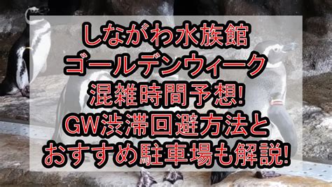 しながわ水族館ゴールデンウィーク混雑時間予想gw渋滞回避方法とおすすめ駐車場も解説 旅する亜人ちゃん