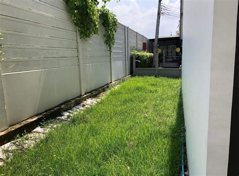 Pastel ลูกค้าเก่าเรียกใช้บริการค่ะ พิกัดลาดพร้าว โชคชัย4 ขอโรงเรือนในพื้นที่จำกัด พื้นที่น้อย