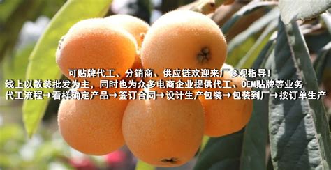 川知贝原味枇杷干瓶装袋装正宗无核水果干果脯蜜饯琵琶果干批发 阿里巴巴