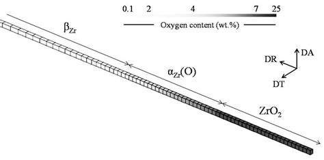 example of mesh and oxygen concentration field used for finite element