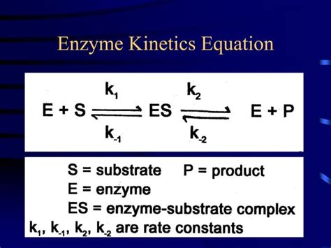 Enzyme Kinetics How It Works Michelis Menten Equation Ppt