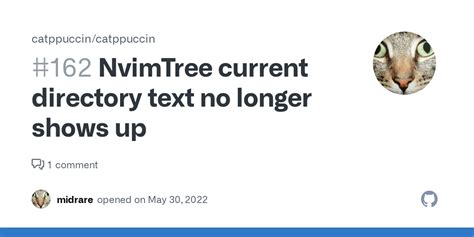 Nvimtree Current Directory Text No Longer Shows Up · Issue 162 · Catppuccincatppuccin · Github