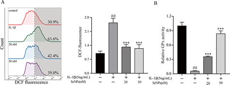 Effect Of Selenium Nanoparticles In Osteoarthritis Dddt