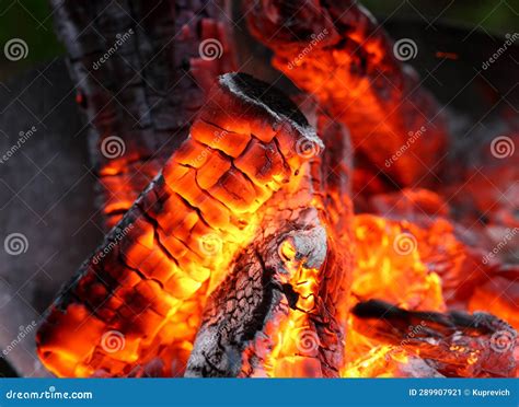 Outdoor Fire Blazing Stock Image Image Of Firewood 289907921