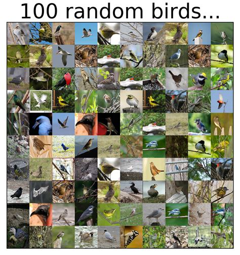 多重预训练视觉模型的迁移学习 阿里云开发者社区